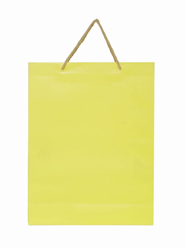 Yellow Garment Boutique Shopping Gift Paper Bag with Handle