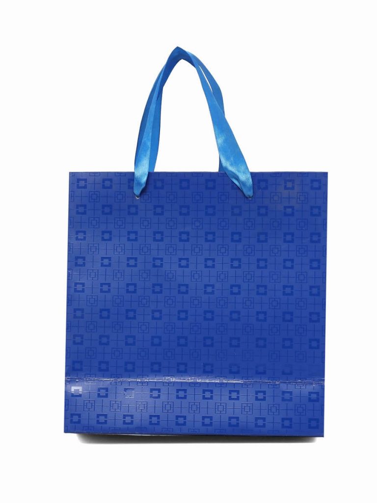 Buy Printed Luxury Cloth Shopping Paper Bag Online India